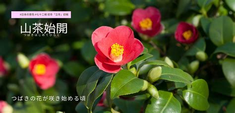 二十四節気小雪しょうせつ11 22 12 6頃 料理が楽しくなる情報サイト
