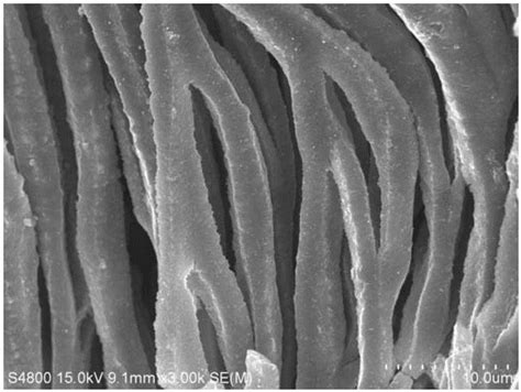 一种制备棒状au Tio2复合纳米光催化材料的方法与流程