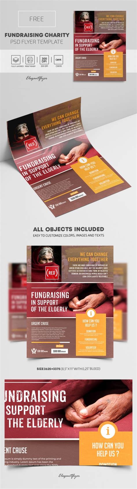 Government Fundraising Flyers Templates