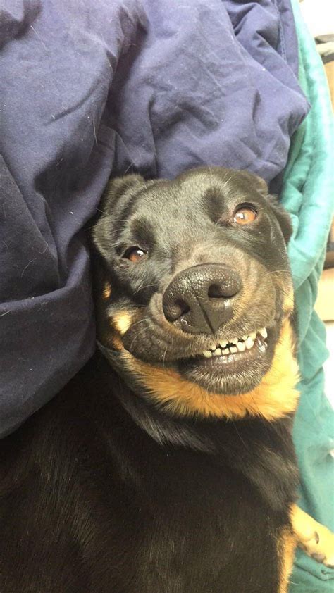 This Is Her Good Morning Face Scrolller