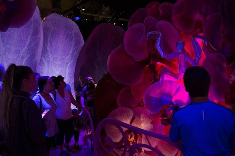 The Bug Lab Gallery Wētā Workshop