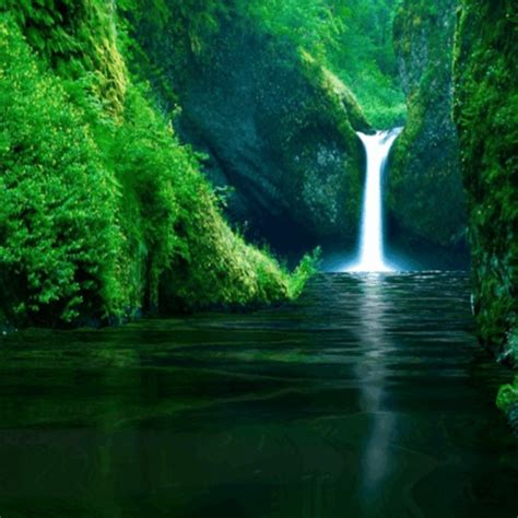 Moving Nature Live Wallpaper Hd