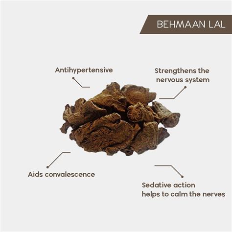 Health Benefits Of Behman Types Forms And Side Effects Herbal