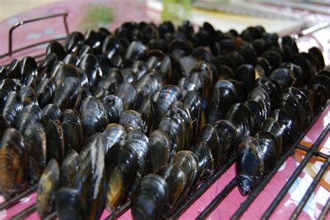 Temps De Cuisson Des Moules