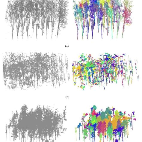Individual Tree Extraction Result A Plot Gongan B Plot Wuhan C