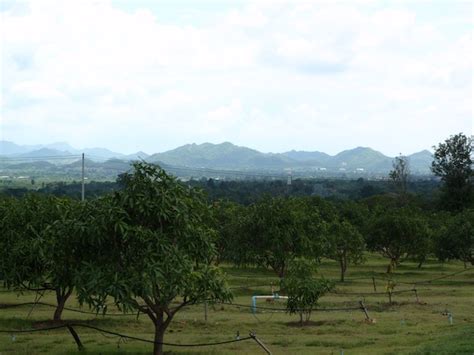 Khaoyailand Com มีที่ดินผืนงามที่ได้คัดสรรและซื้อมาพัฒนาให้ท่านได้