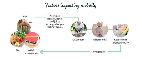 Factors Impacting Mobility