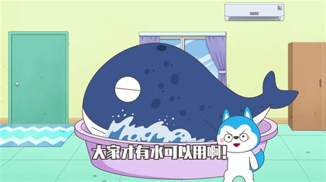 宿舍养宠物能有多离谱？看到最后终于憋不住了高清1080p在线观看平台腾讯视频