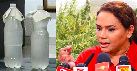 කසිප්පු පෙරලා රට යැවුවොත් සෑහෙන්න ඩොලර් ලැබෙනවා කසිප්පුවල වටිනාකම
