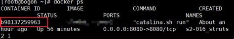 在windows宿主机中连接虚拟机中的docker容器总结windows连接虚拟机中的docker Csdn博客