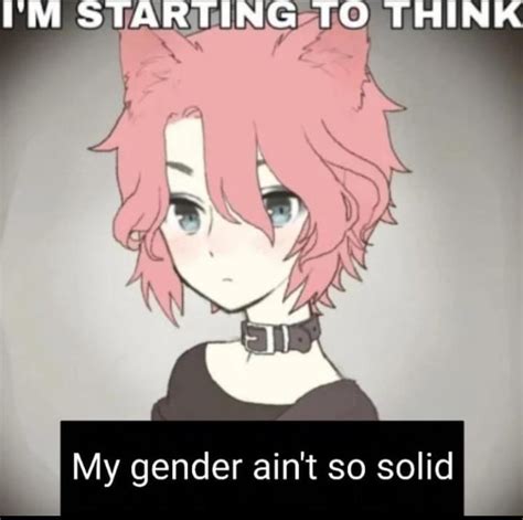 Genderule Rgenderanarchy
