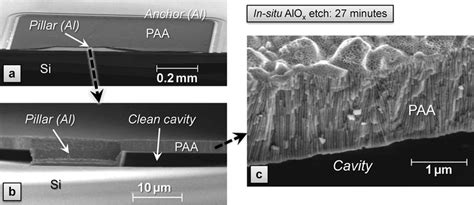 Cross Sectional Tilted Sem Views Of The Result Of An Hf Vapor Release Download Scientific