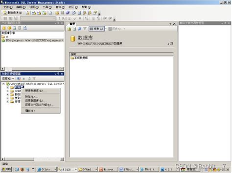 《数据库原理及应用》实验指导书数据库原理及应用实验指导书 Csdn博客