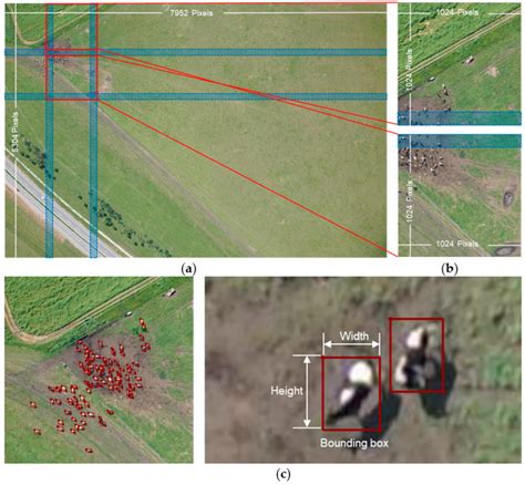 The Split Uav Image A The Original Uav Image The Overlapped Blue Download Scientific