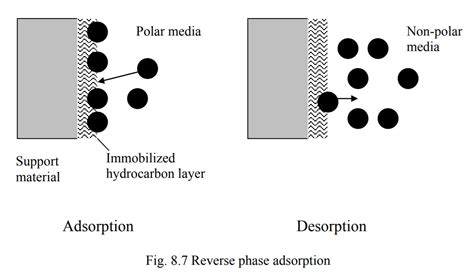 Principles Of Bioseparations Engineering