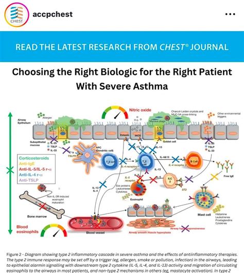 Asthma Biologics Dr Muhammad Noman