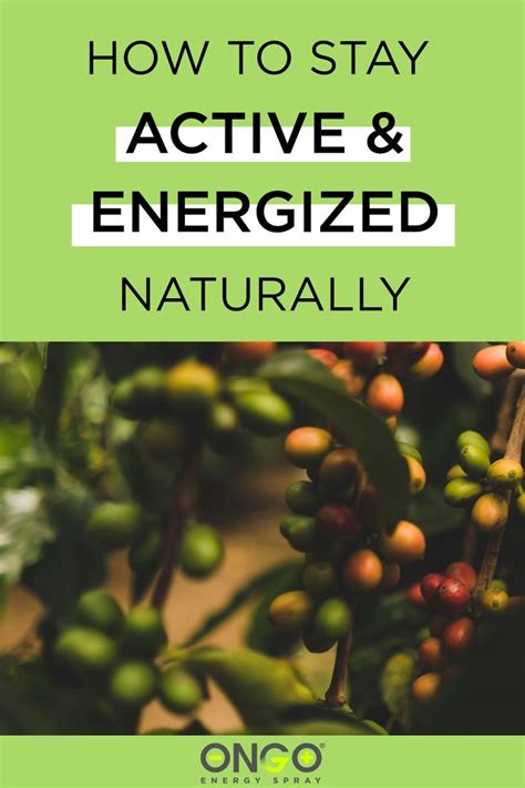 Stay Energized Naturally Natural Caffeine Coffee Beans Energy
