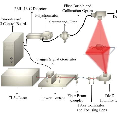 pdf time resolved multispectral diffuse optical tomography system