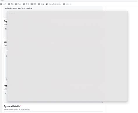 Mac Can Not Show The Ui When Exec Wails Dev · Issue 1504 · Wailsappwails · Github