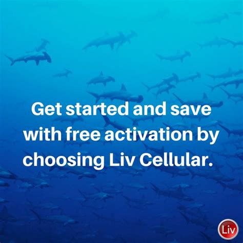 get started and save with free activation by choosing liv cellular
