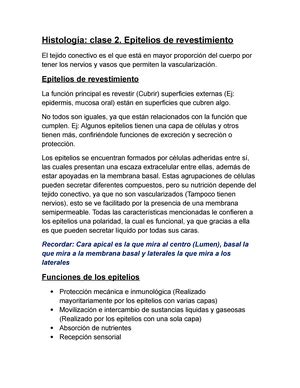 Generalidades de la Anatomía Warning TT undefined function 32