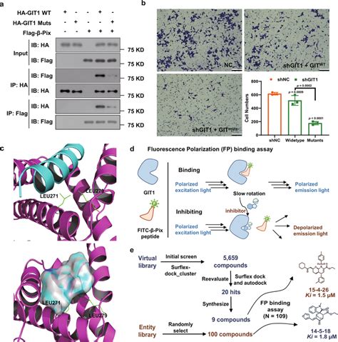 Screening Methods To Identify 14 5 18 And 15 4 26 As Inhibitory Download Scientific Diagram