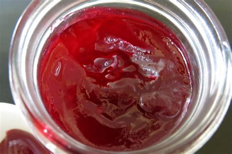 Seedless Raspberry Jelly Recipe 2 Homemade Canning