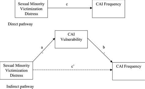 Conceptual Model For The Association Between Sexual Minority