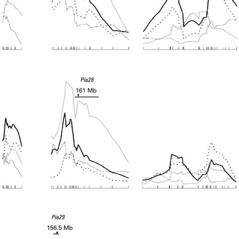 linkage mapping in the g7 advanced intercross lines ail population
