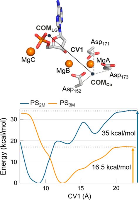 Free Energy Surface Obtained Through Confined Welltempered Metadynamics Download Scientific