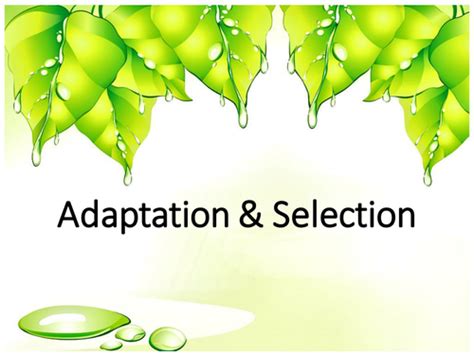 Biodiversity Adaptation And Selection Teaching Resources