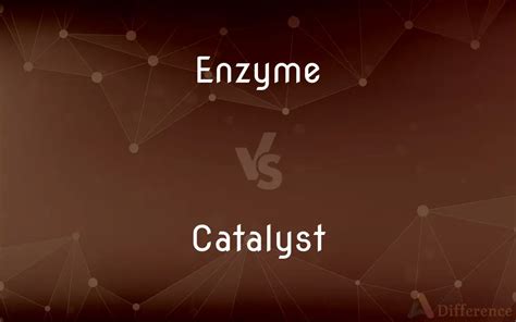 Enzyme Vs Catalyst — Whats The Difference
