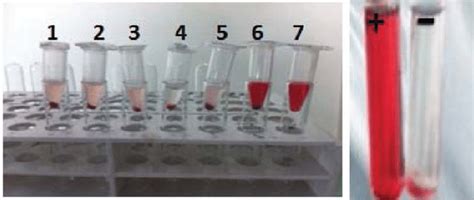 Hemolyzed Rbcs In Suspension With Different Pesticides 1 Micronized
