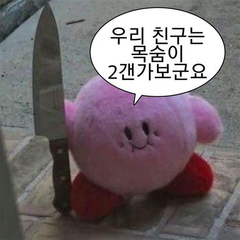 우리 목숨 하나는 오늘 없애도록 할게요 웃긴 밈 밈 그리기 웃긴 표지판