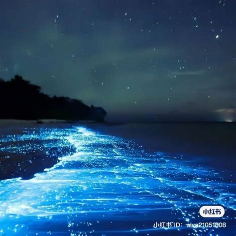 Rosar‧₊˚♡ •┈┈┈••♡••┈┈┈• In 2024 Design