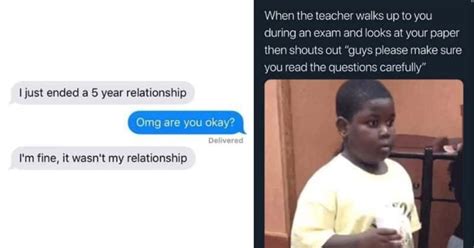 Funny Hilarious And Lol Stories On Scoop Upworthy