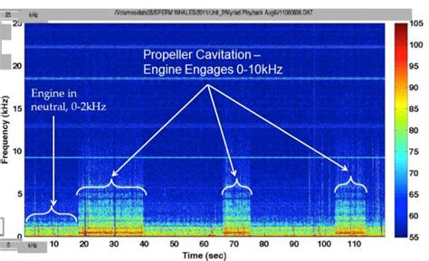 Increased Underwater Noise From Propeller Cavitation During Engine Download Scientific Diagram