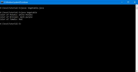 JAVA Tutorial 5 CodingSter