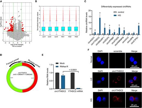 Microarray Analysis Reveals The Aberrantly Expressed Circrna In The