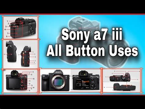 Sony A Iii All Button Uses How Work All Button In Sony A Iii Camerasetting Sony