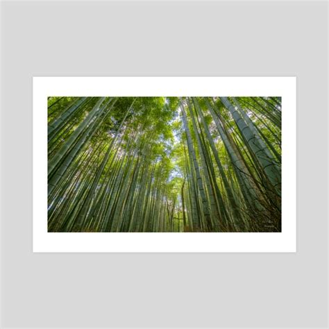 Arishiyama Bamboo Forest 5 An Art Print By John Souter Inprnt