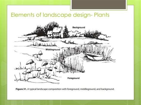 Elements Of Landscape Pptx