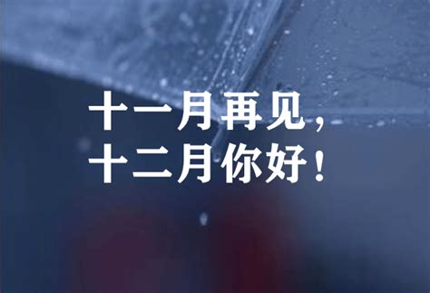 十一月再见，十二月你好！日子开心收获