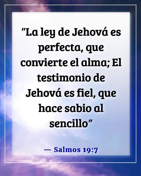 35 Versículos De La Biblia Sobre La Palabra De Dios