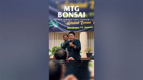 Junniper Diprunning Habis 🤣 Bonsai Youtube