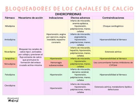Bloqueadores De Los Canales De Calcio Andy UDocz