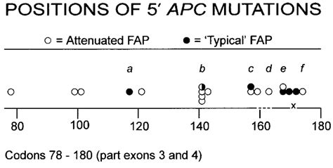Positions Of Recorded 5′ Mutations In The Apc Gene According To