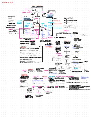 Lab Report Reaction Rate Lab During This Experiment We Actively Tried To Answer The Question