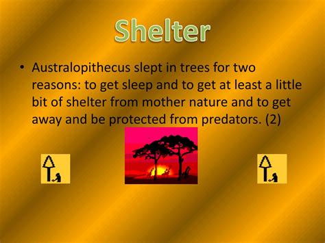 Ppt Australopithecus Powerpoint Presentation Free Download Id2161420