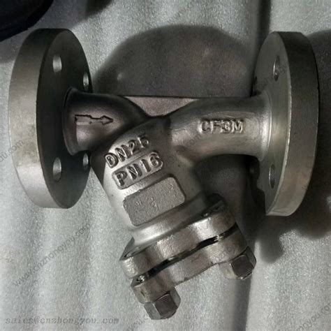 Y Pattern Strainer Dn25 Pn16 Astm A351 Cf3m Body Ss316l Screen Rf Ends Zhongyou Industrial